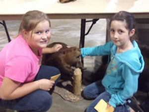 Fair - Brooke Alvinston Agricultural Society